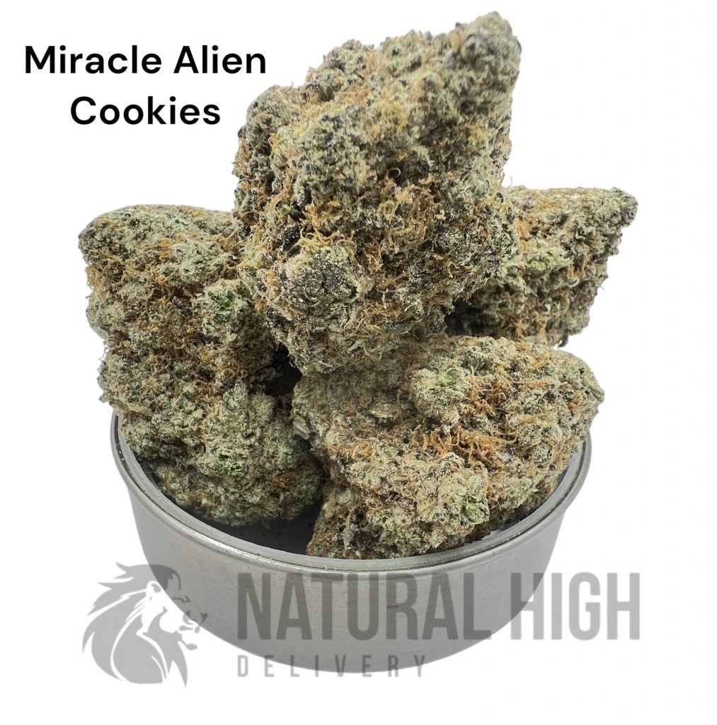 Miracle Alien Cookies | naturalhighdelivery.com
